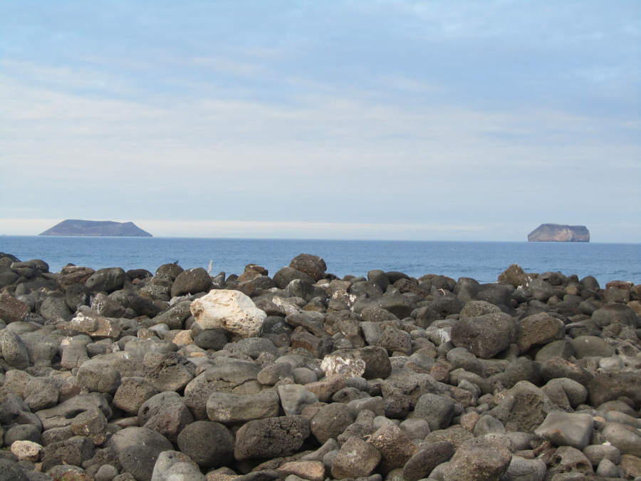 Isla Baltra (y alrededores), Ecuador